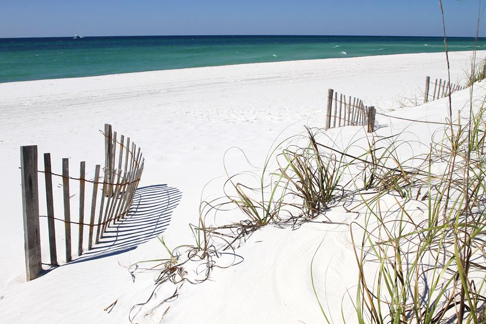 Coral Reef Panama City Beach - Panama City Beach Direct