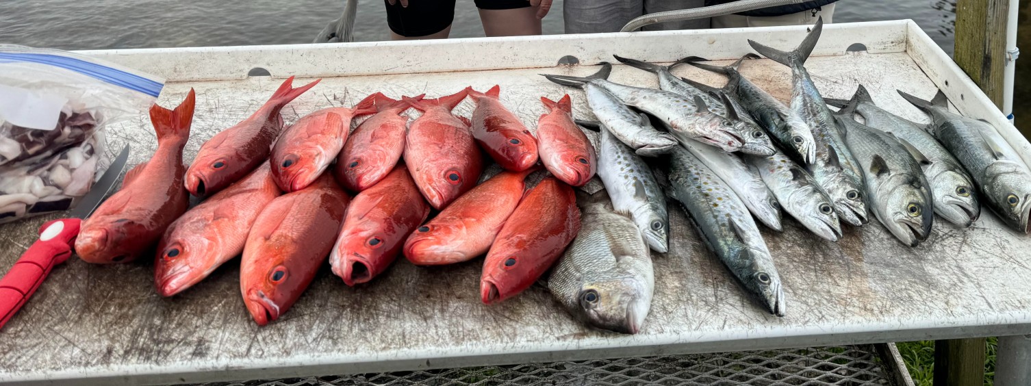 Panama City Beach Direct